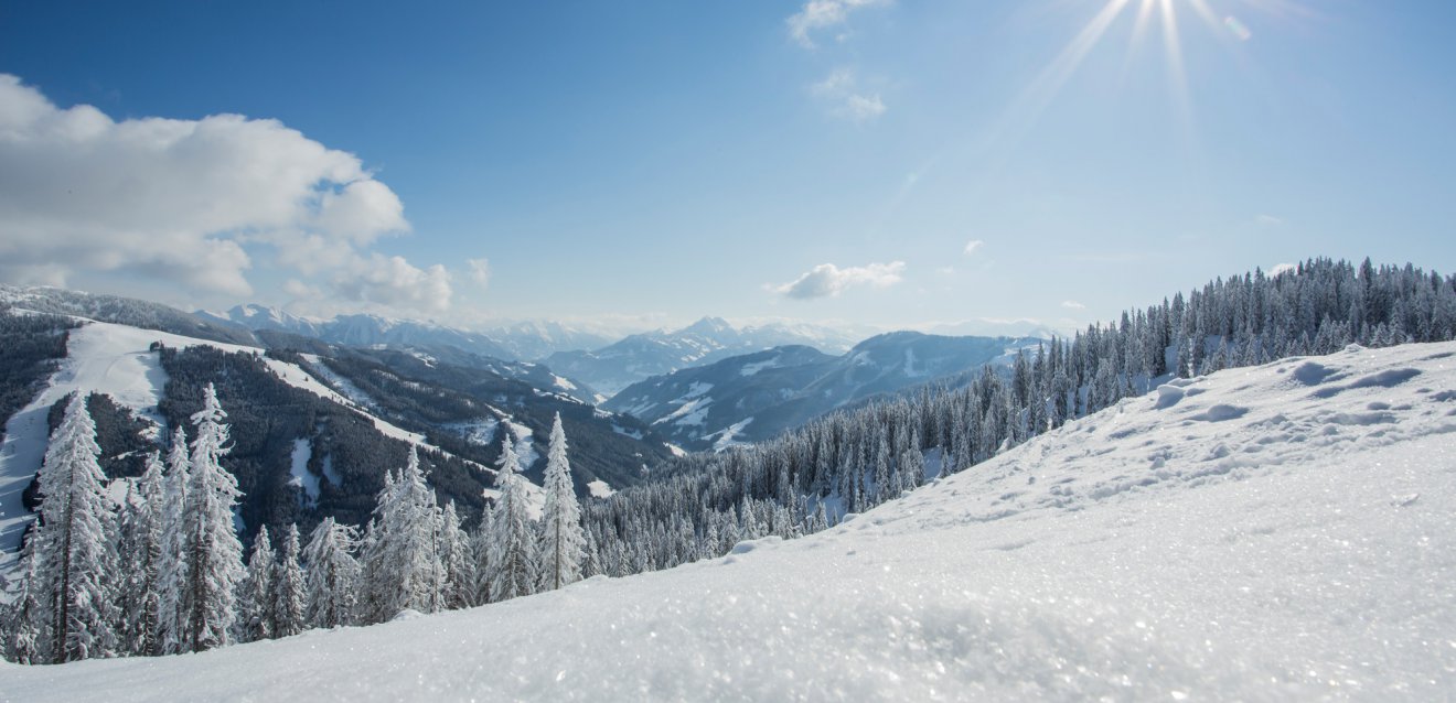 Winter Active - Nature & Active - Naturhotel Forsthofgut