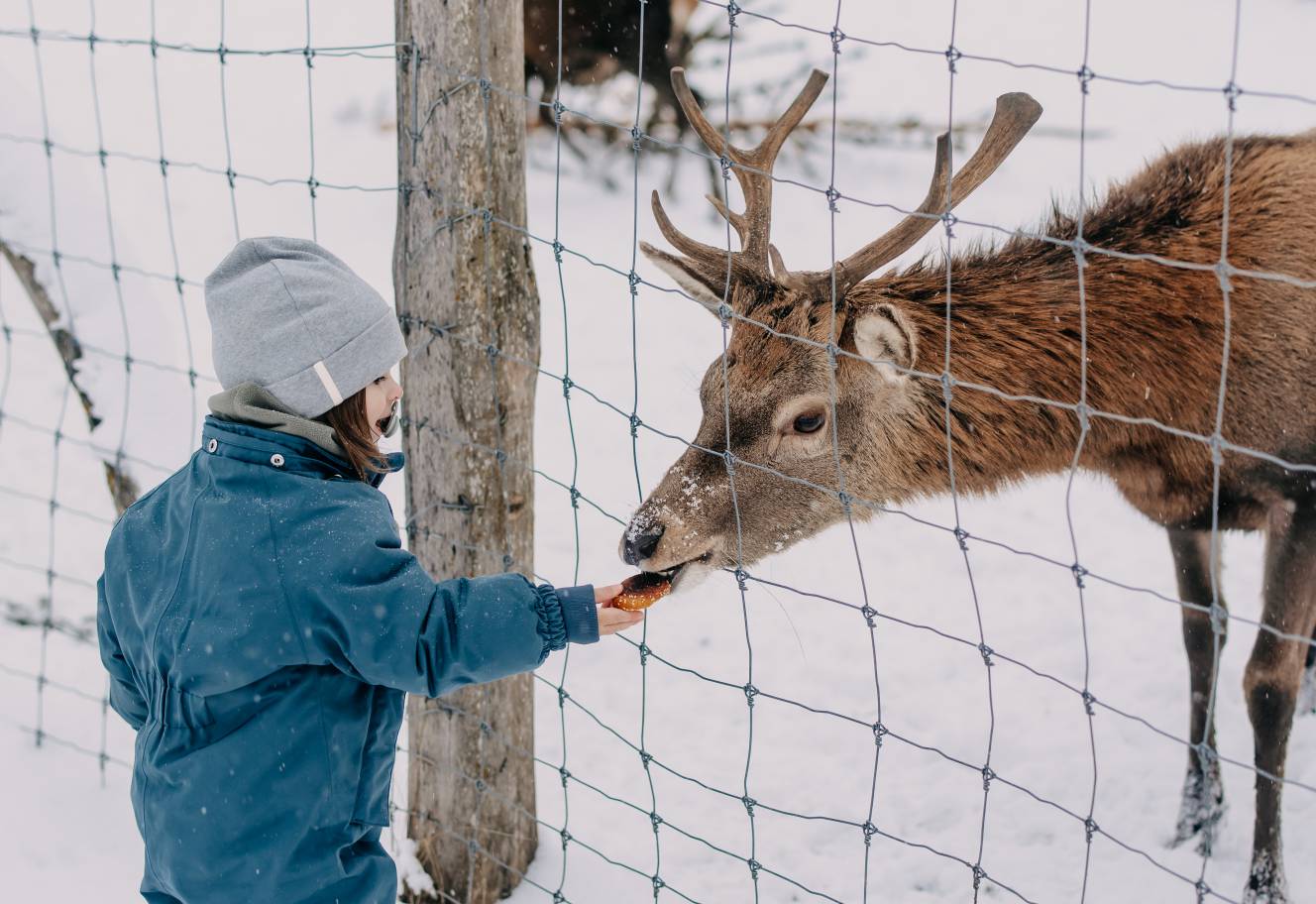 miniGUT | Children's farm in Leogang - Naturhotel Forsthofgut